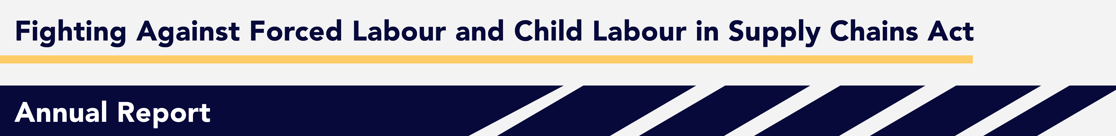 Forced Labour Report WFS LTD.